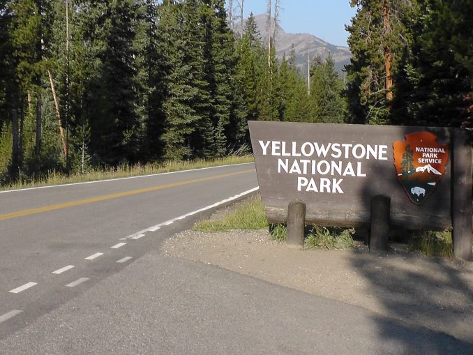 Yellowstone National Park Visitor Numbers For 2022 Down 32% Compared To ...